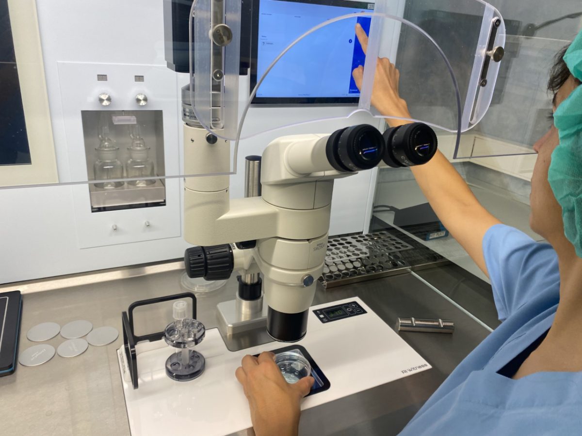 Blog sobre la reproducción asistida | CIRH